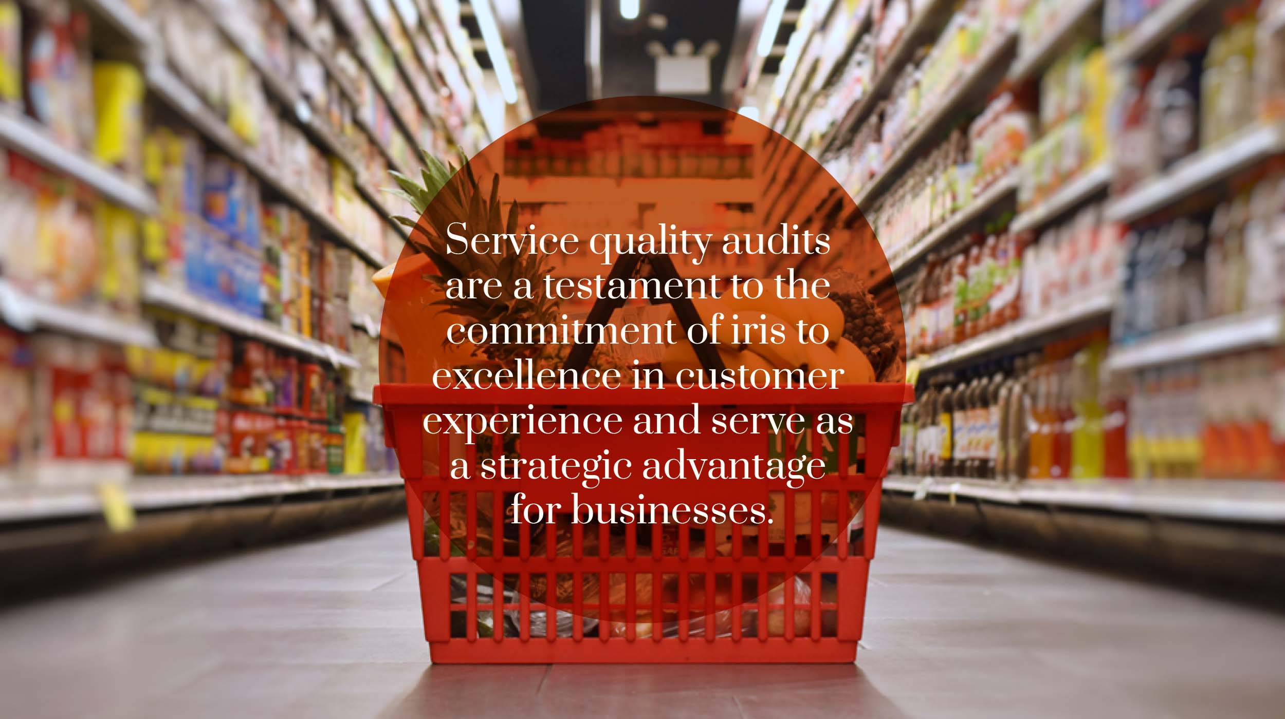 Service Quality Audits – iris
